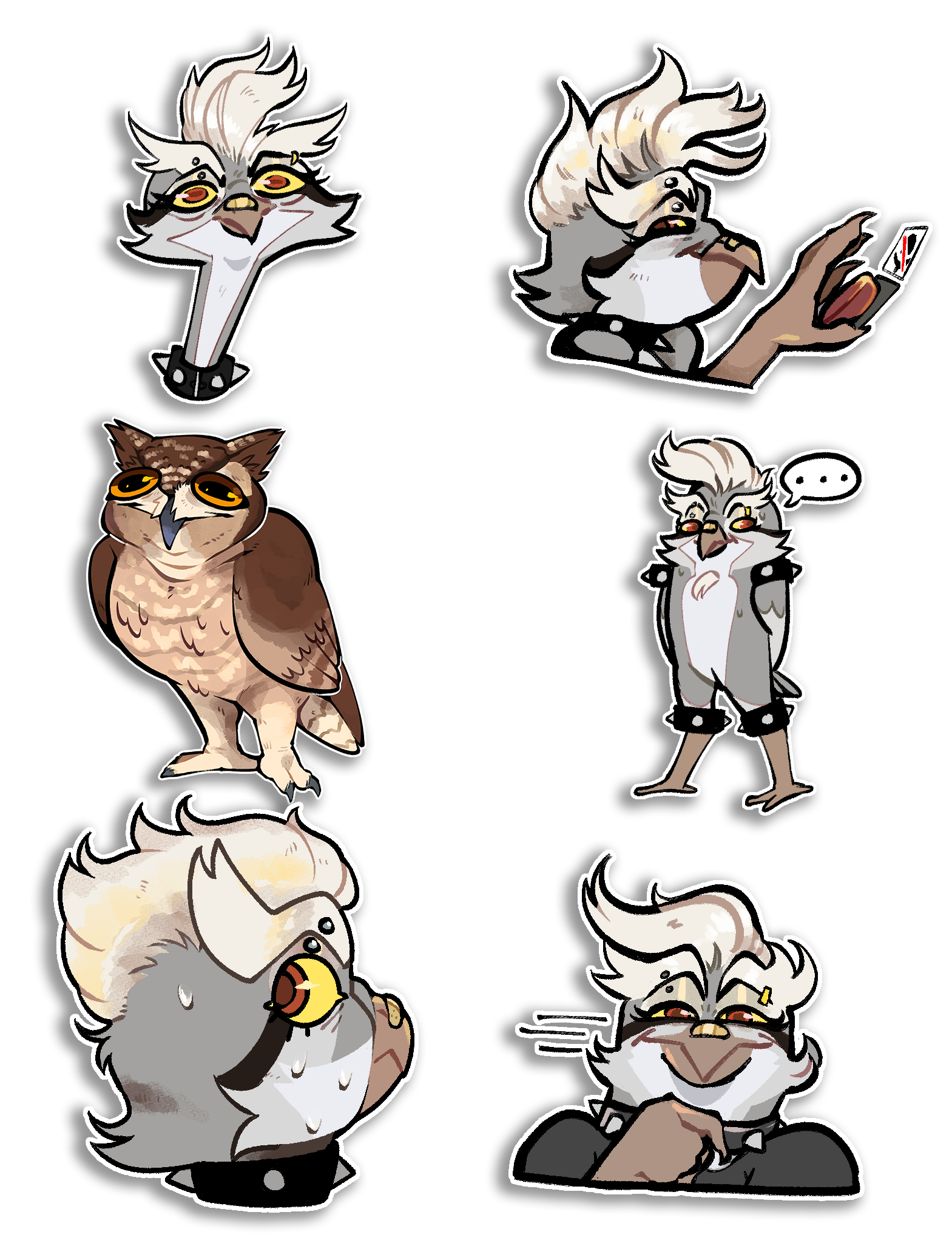 Shammy – OrchidEight